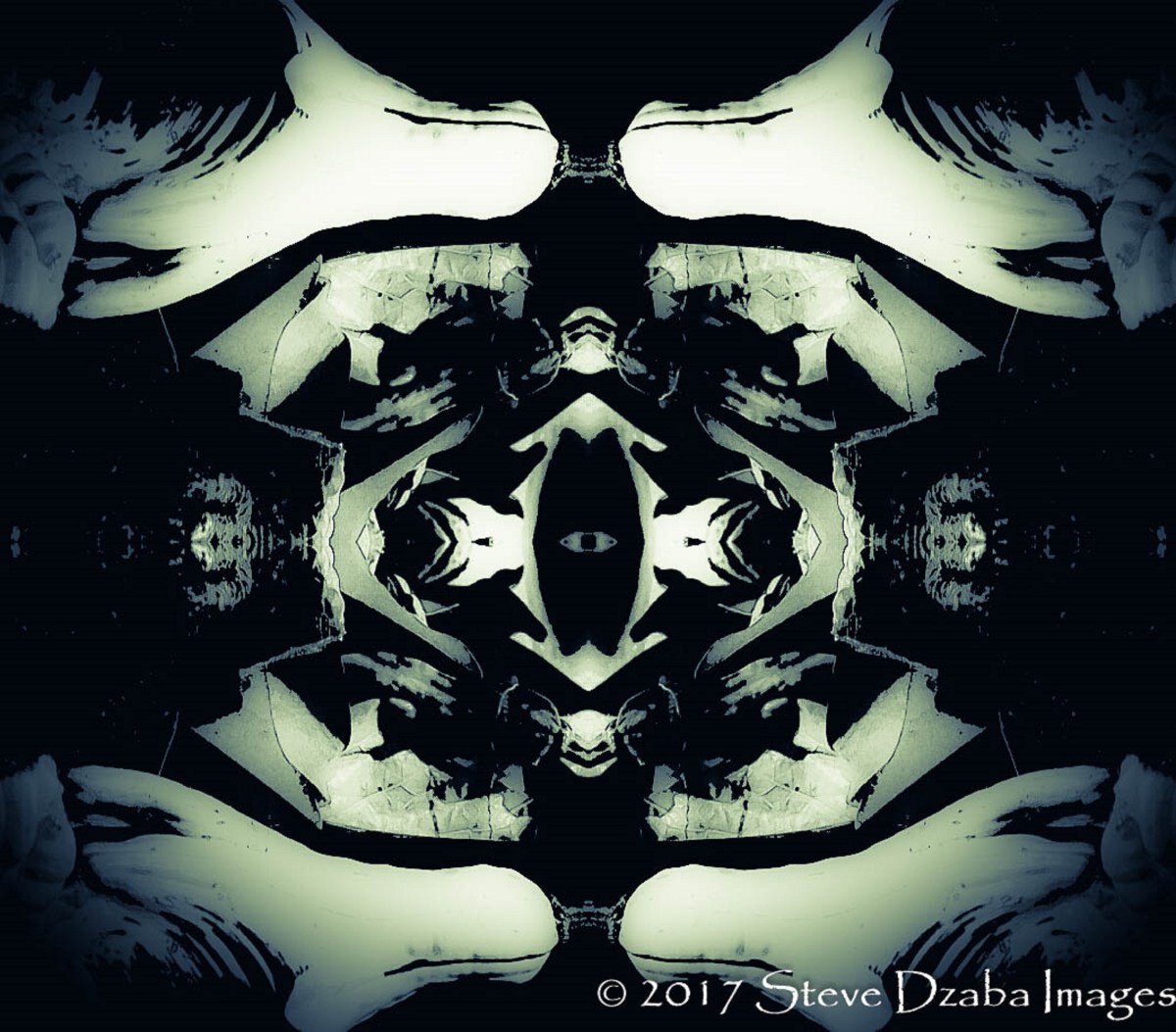 Abstract Portrait Series: The Pupil & Iris “Money Green” Limited ...