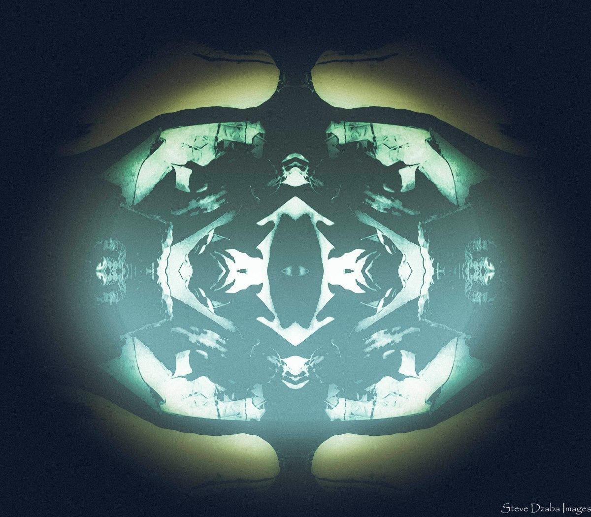 Abstract Portrait Series: The Pupil & Iris (Green Hazed Flashlight ...