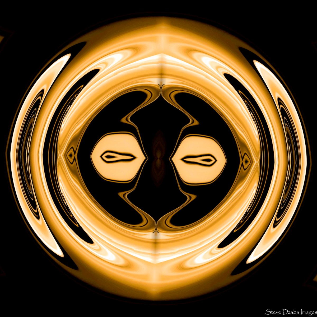 Abstract Portrait Series: Blum Gold Seal – Frozen Rope Photography