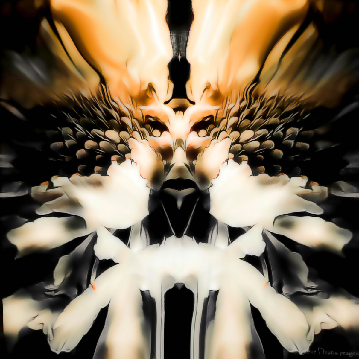 Abstract Portrait Series: B.P.R II: The Emperor Redux!! – Frozen Rope ...